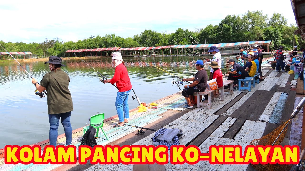 Pertandingan Memancing di Kolam Pancing Ko Nelayan Kg Laya-laya, Tuaran ...