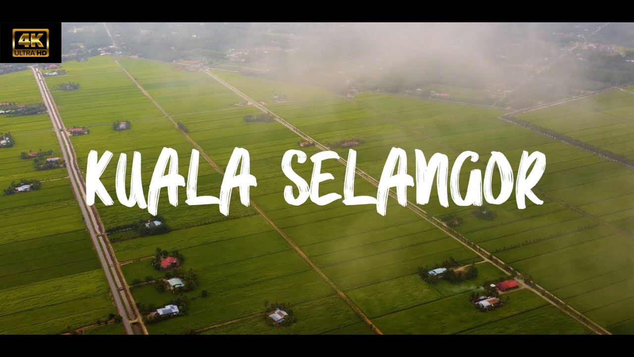 Kuala Selangor | Kehijauan sawah padi terbentang luas - YouTube