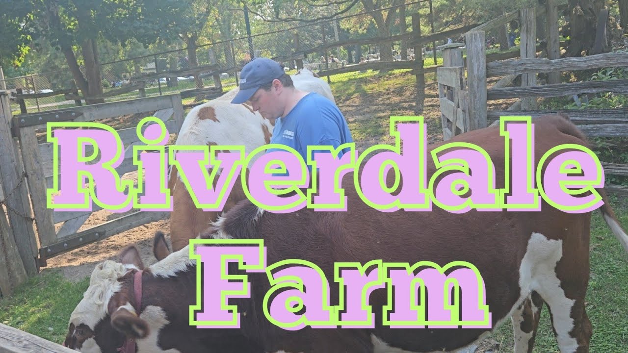 CANADA - TORONTO RIVERDALE FARM - YouTube
