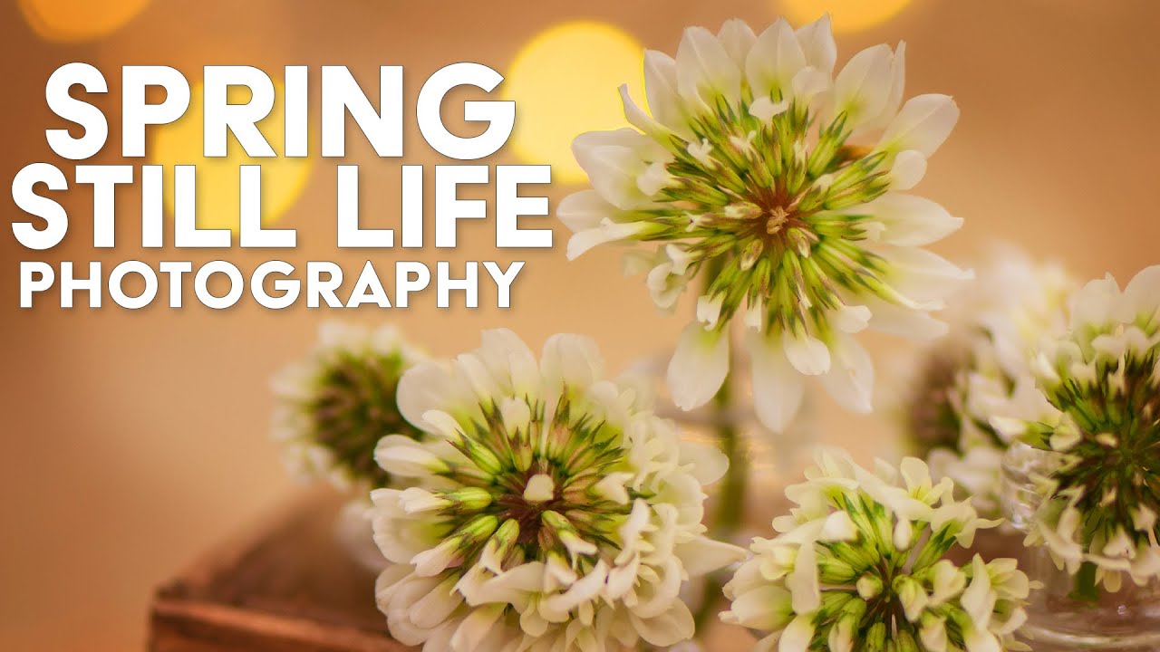 Spring Still Life Photography - YouTube