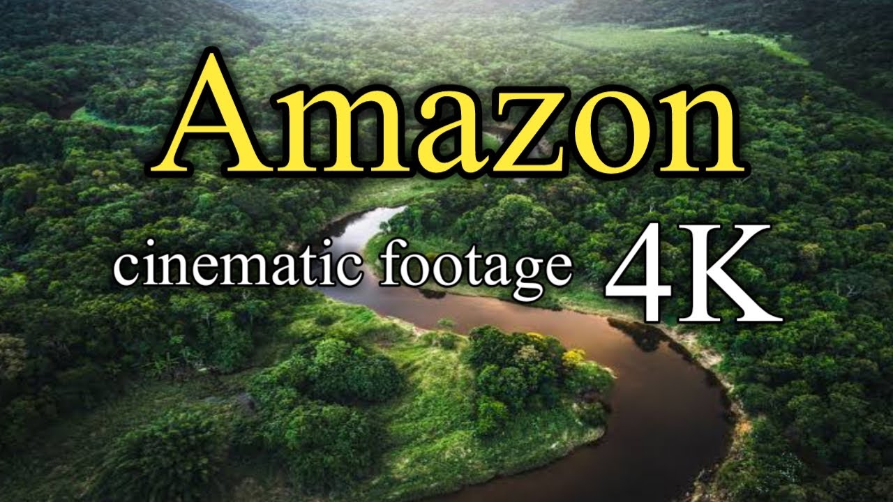A drone footage of Amazon forest in 4K || amazon jungle || Grip on ...