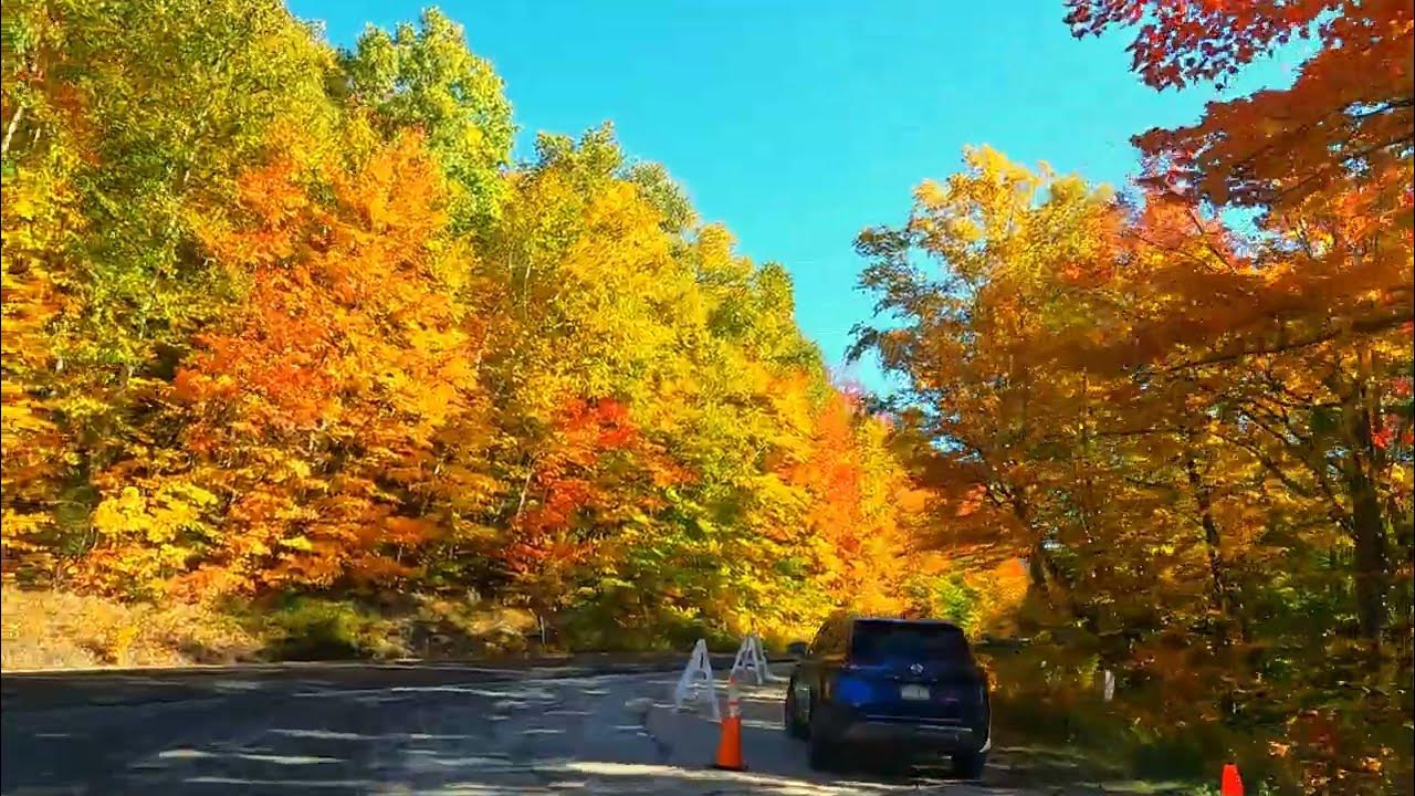 Peak Fall Foliage - America's Most Scenic Byway - YouTube