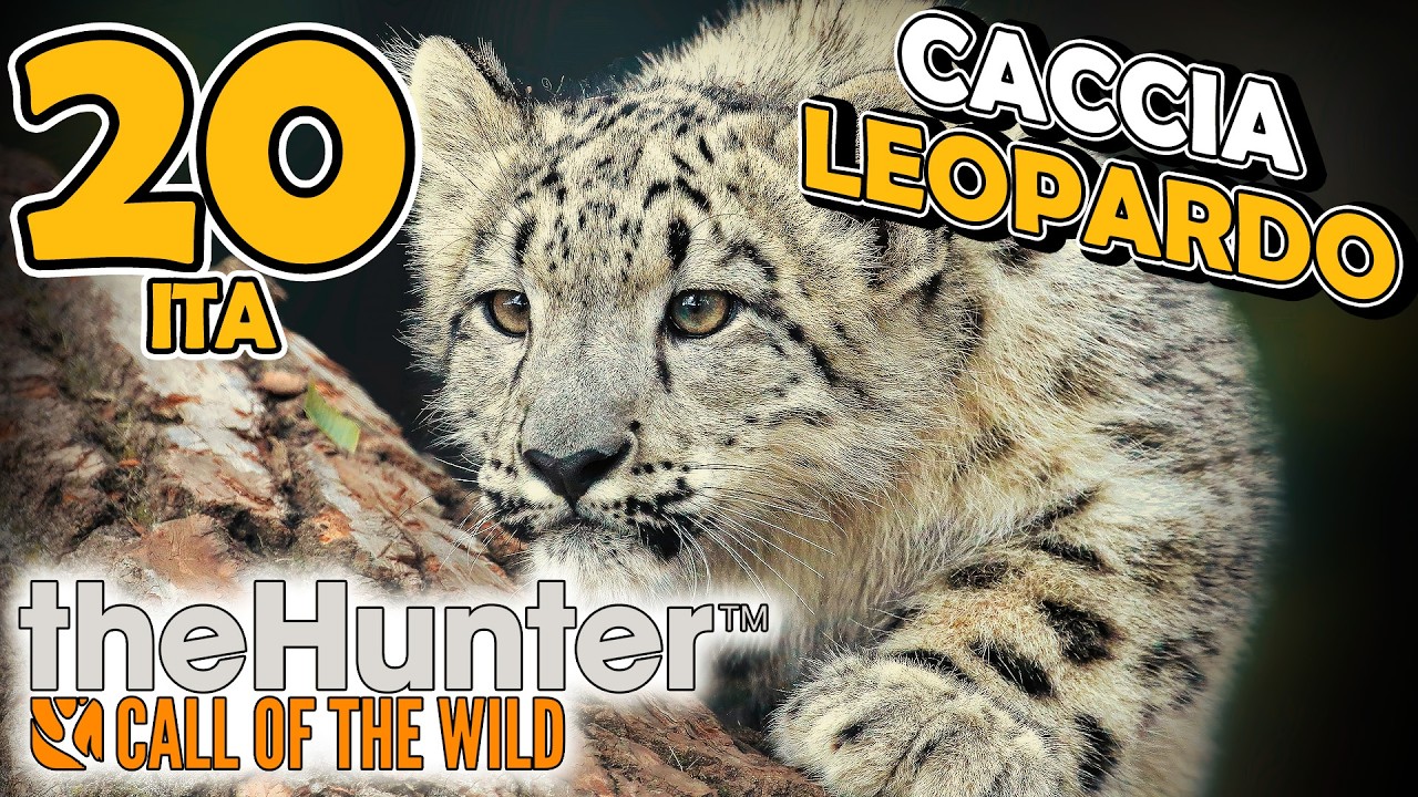 Caccia allo Snow Leopard | Guida e Caccia Avanzata THE HUNTER CALL OF ...