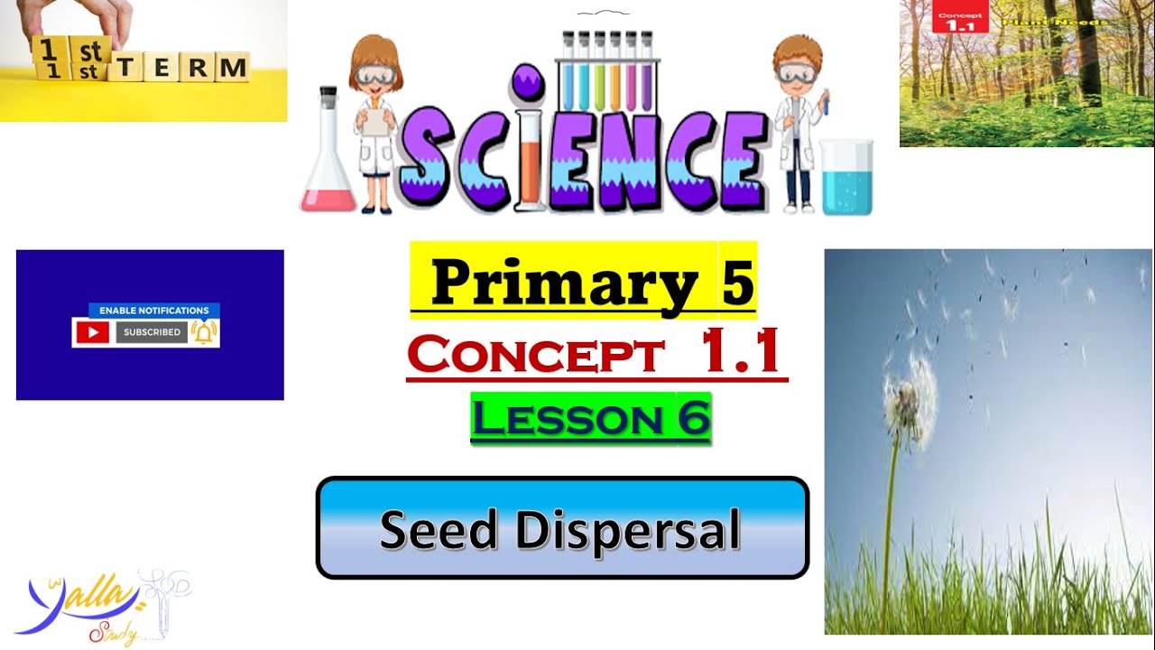 Science chapter 1 lesson 6 theme 1 primary 5 first term - YouTube