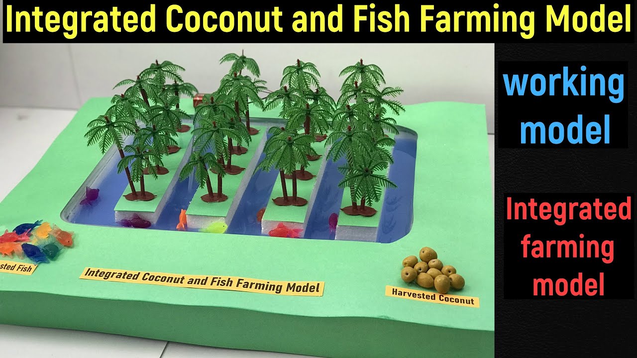 integrated coconut and fish farming model - integrated farming system ...