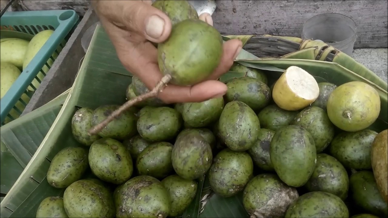 Mouth Watering Tasty Fresh Ambarella (Amra) Chaat l Bengali Street Food ...