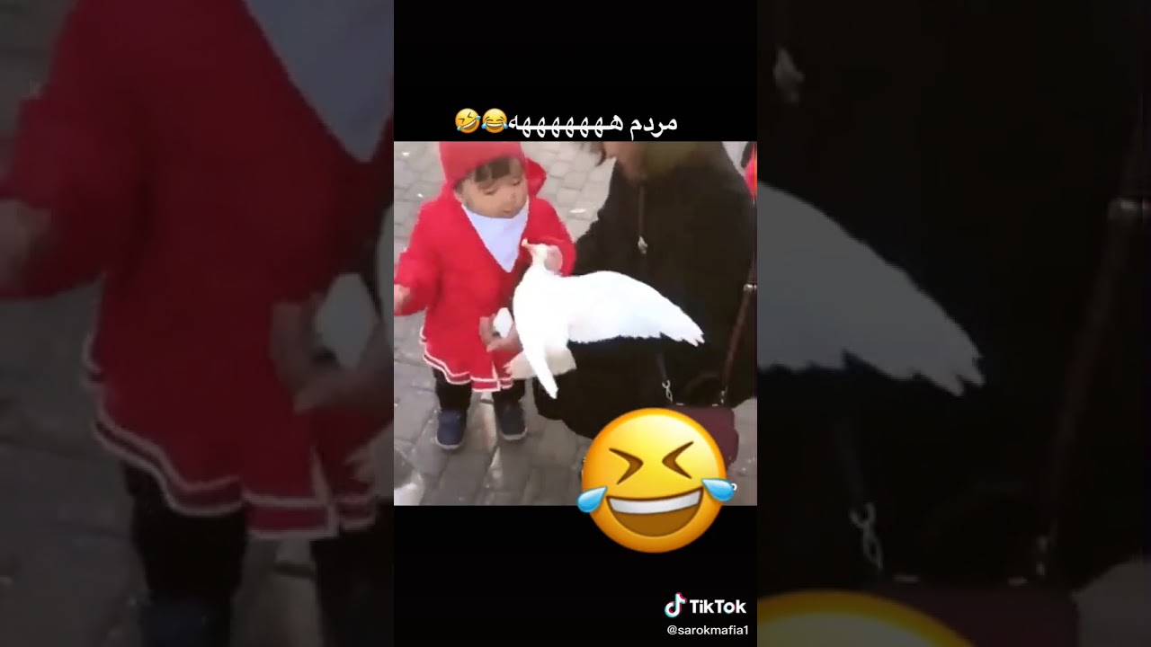 papa carton pekanin mndall kurdi hhhhh - YouTube