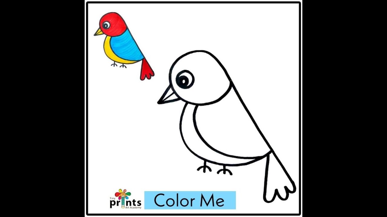 Bird drawing # cute little Bird drawing and colouring easy step by step ...