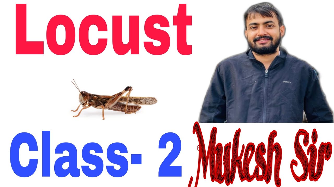 Locust | Locust Classification, Locust life cycle & Management, # ...