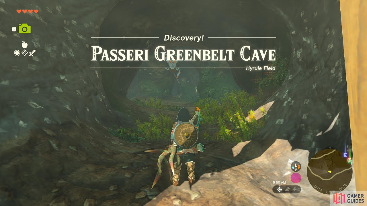 Passeri Greenbelt Cave Walkthrough - The Legend of Zelda: Tears of the ...