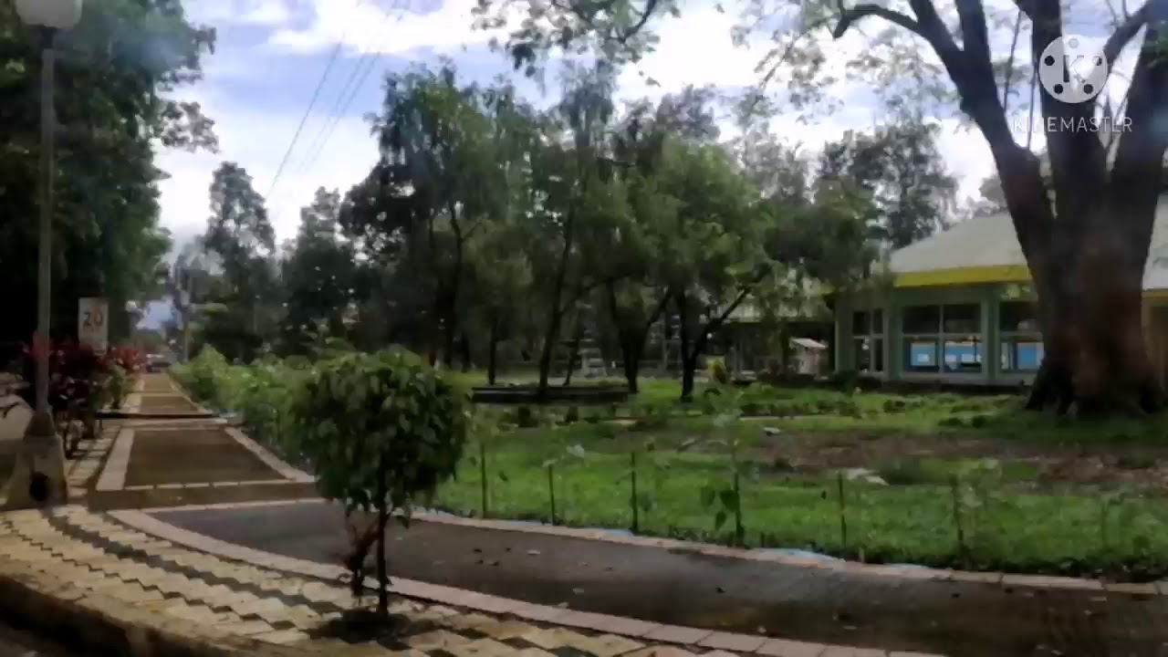 University Of The Philippines Mindanao Campus