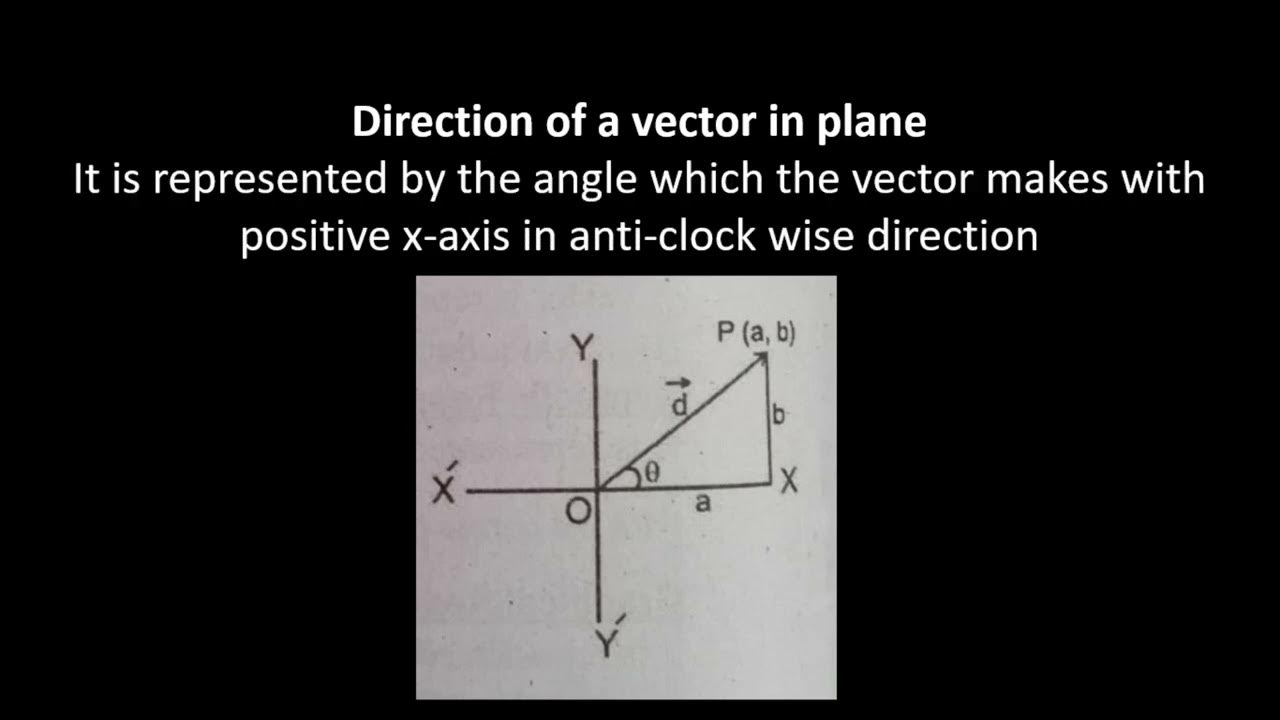Two and Three Dimensional Coordinate axis | Direction of a vector in ...