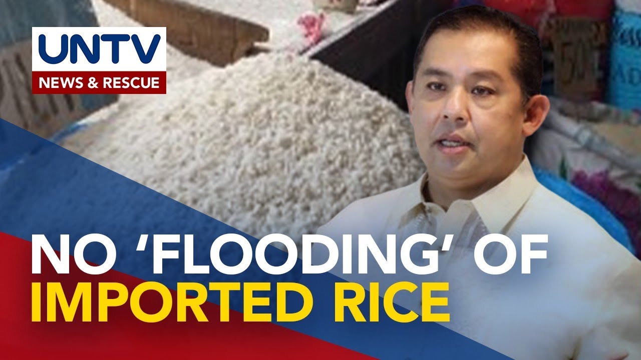 Tariff reduction won’t flood market with imported rice - Speaker ...