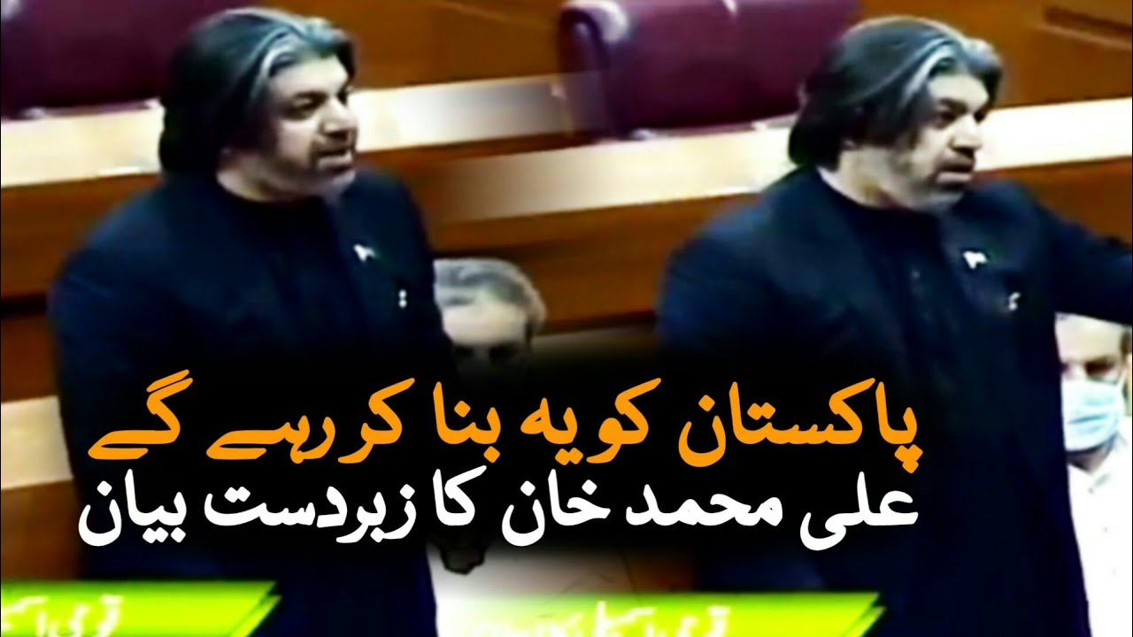 Ali Muhammad Khan Great Speech In National Assembly | Pakistan ...