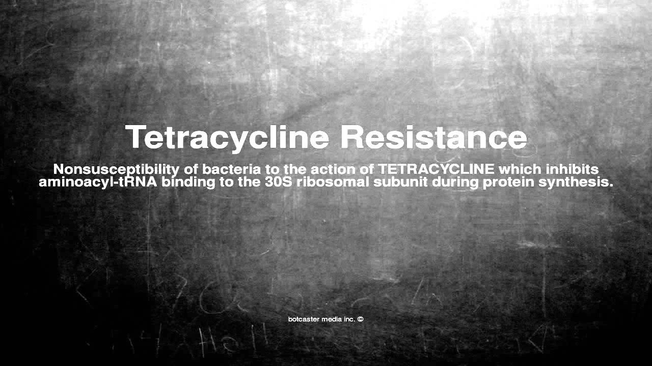 Medical vocabulary: What does Tetracycline Resistance mean - YouTube