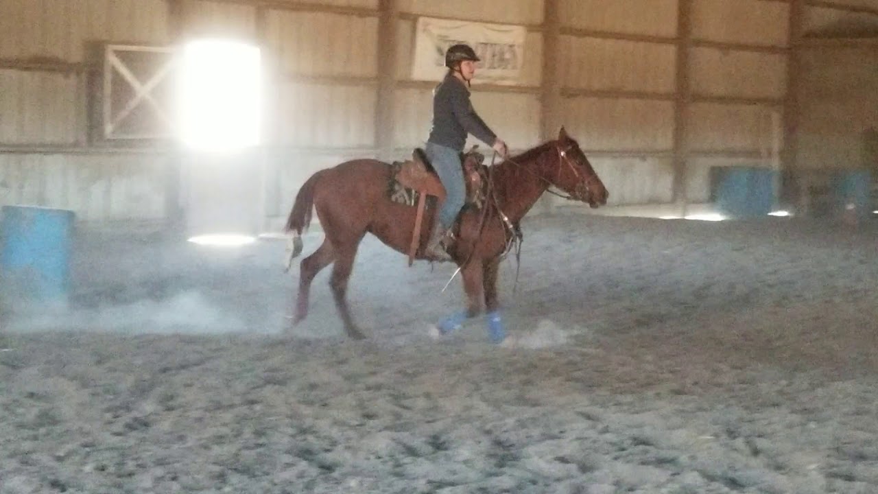 Ima Dashin Ginger "Ginger" - 01/05/2019 -1 - YouTube