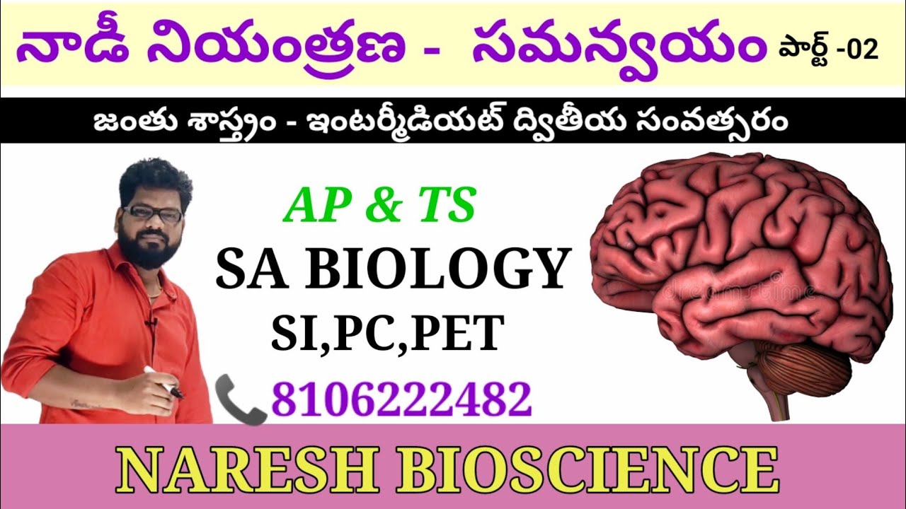 నాడీ నియంత్రణ సమన్వయం||NARESH BIOSCIENCE - YouTube
