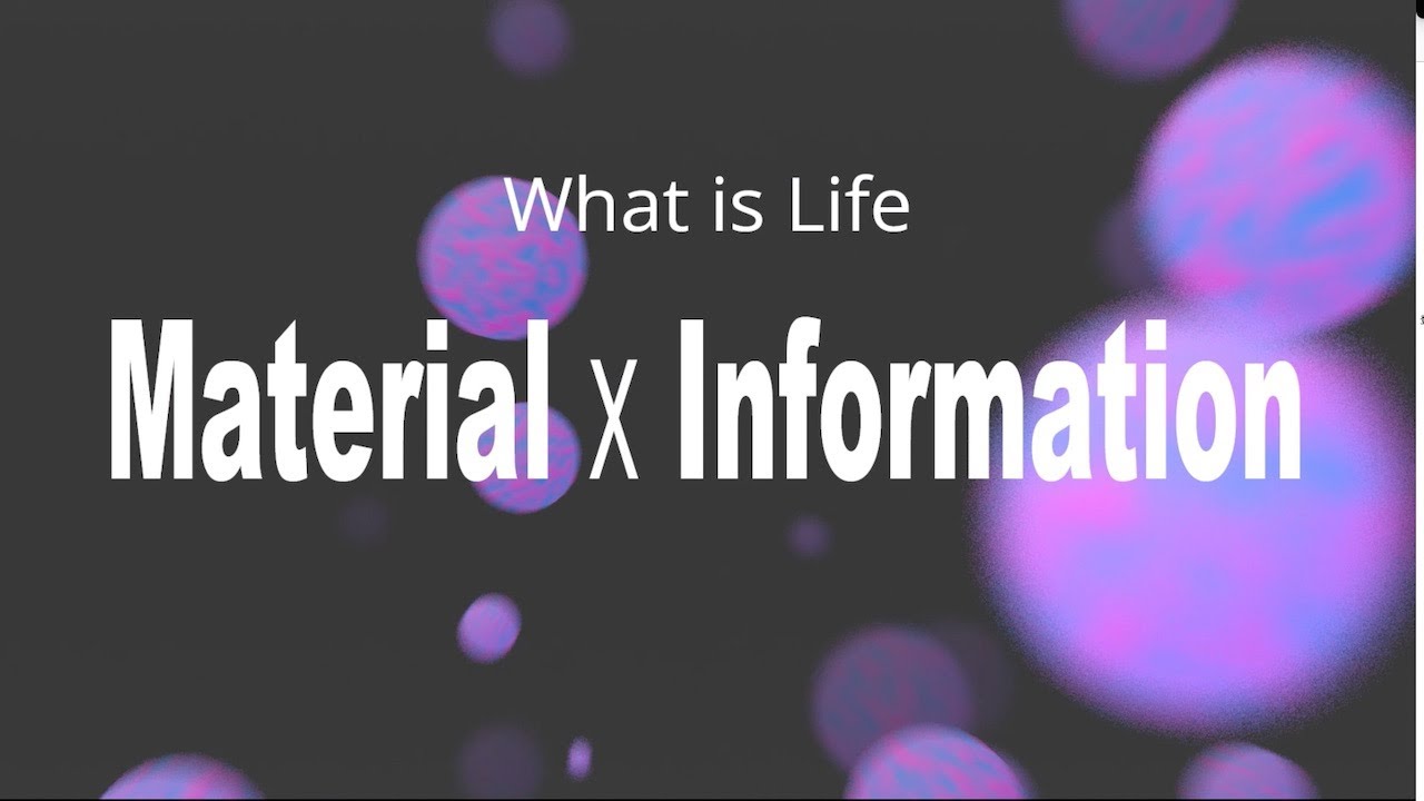 What is Life – Material x Information – - YouTube