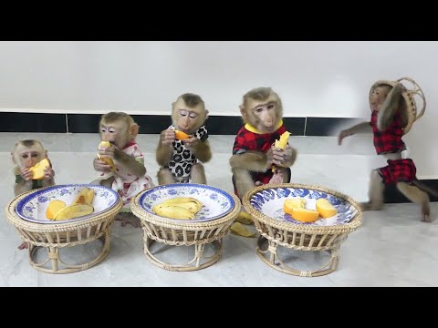 Smart Donal Work Hard For Molly Zuji & Cici When Got Lunch