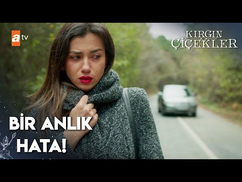 Meral ucuz kurtuldu! | Kırgın Çiçekler