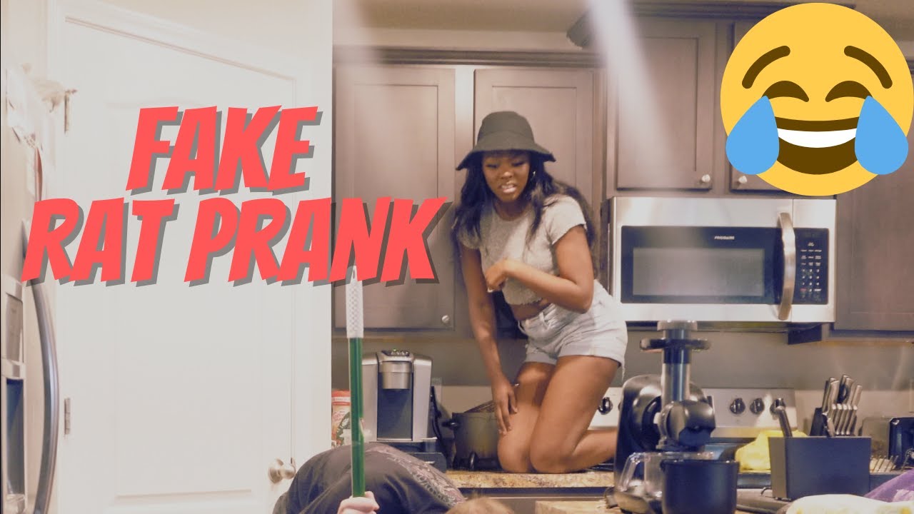 Fake Rat Prank On Wife | Hilarious - YouTube