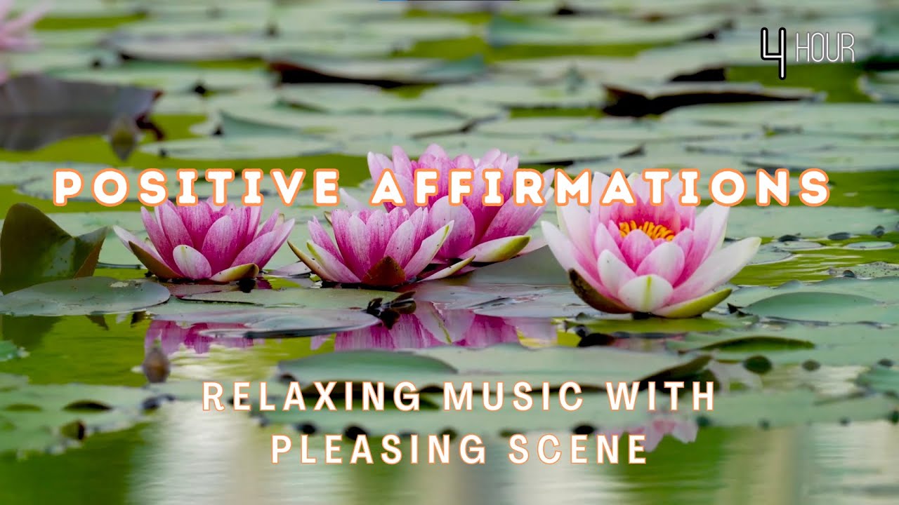 Meditation |Transform Your Mind Find Inner Peace Positive Affirmations ...