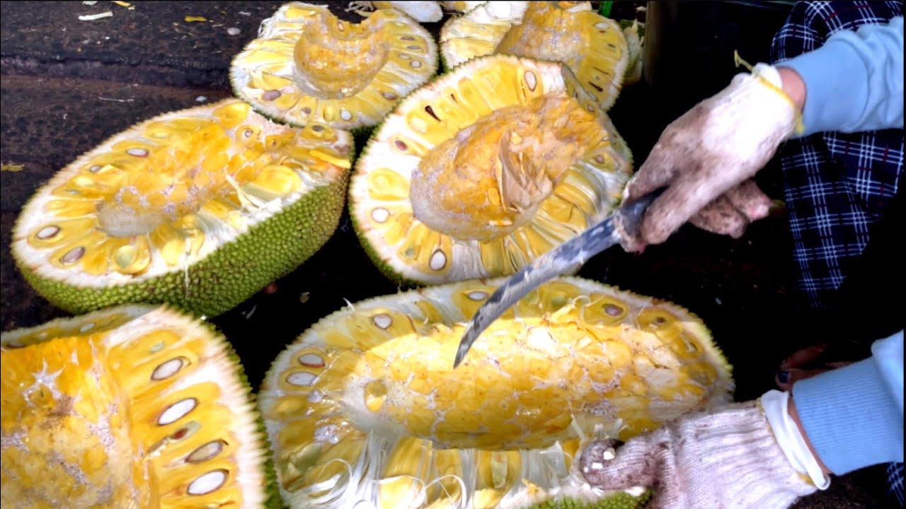 Biggest size of Fruit! Jackfruit cutting Skills - Thai street Food ...