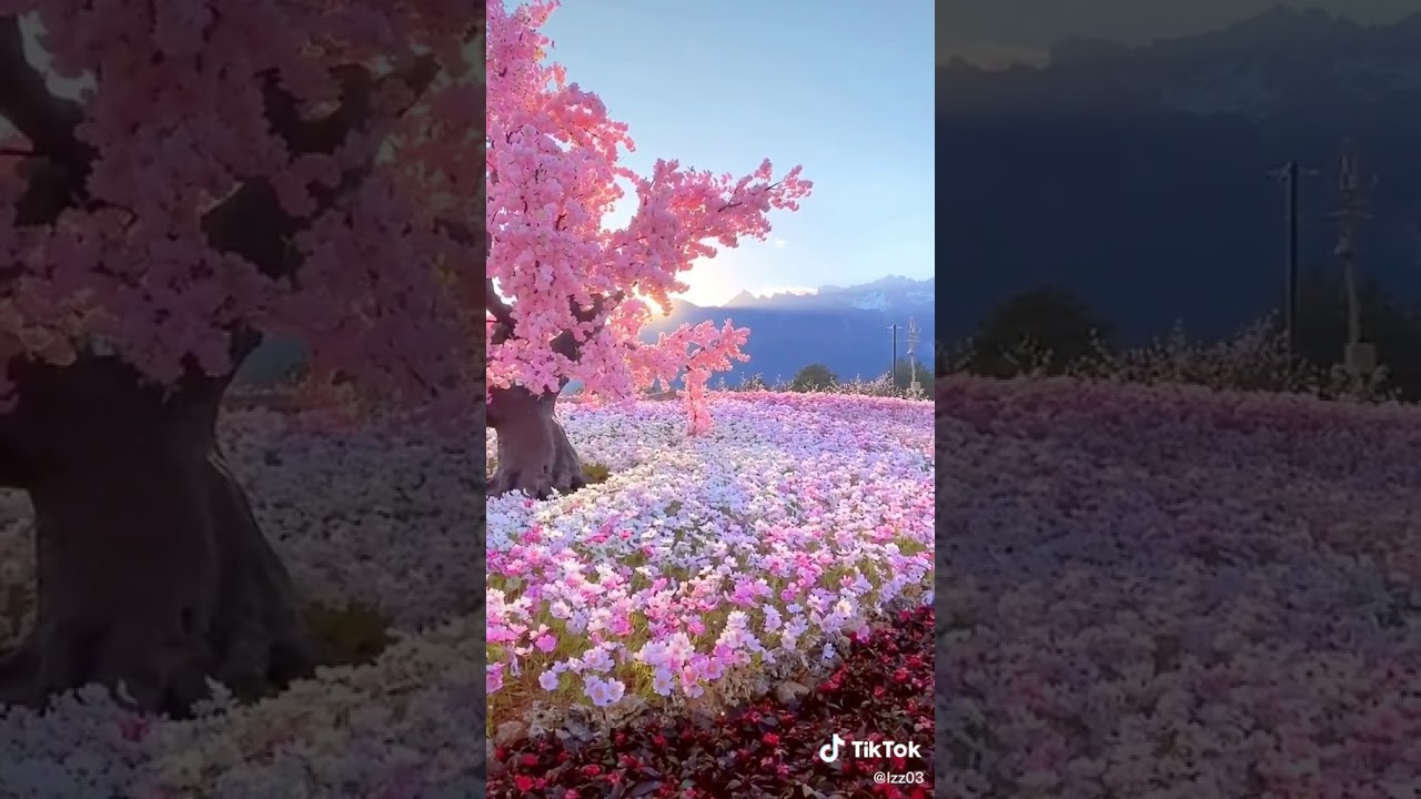 Most beautiful nechar - YouTube