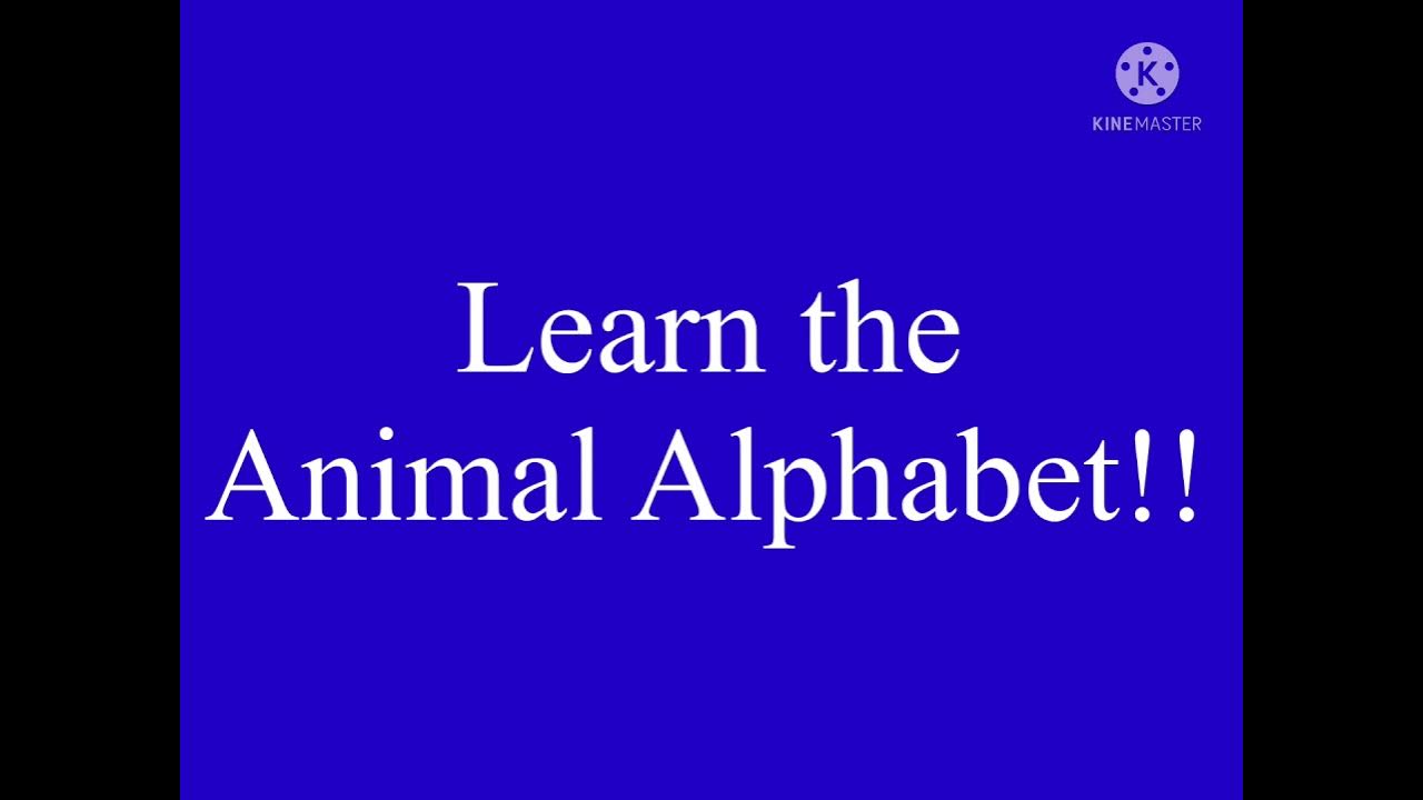 Learn the Animal Alphabet!! - YouTube