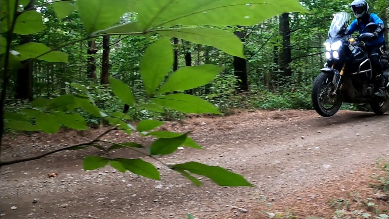 Wailin Wayne Weekend 2023 super tenere jump - YouTube