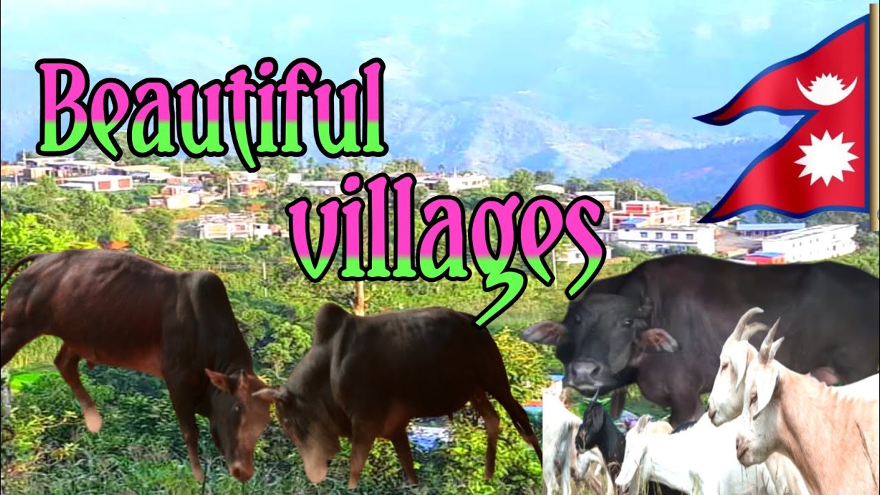 First time My Villages Vlog ||Netrawati Dabjong🙏🌺🇳🇵 - YouTube