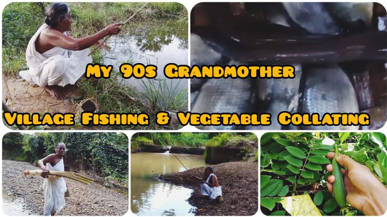 Grandma's Adventure At 90's || Fishing And Vegetables Collection In The ...