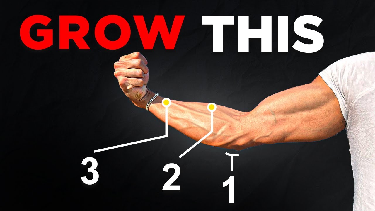 Unlock MASSIVE Forearms with These 3 Exercises!! (Science Based!) - YouTube