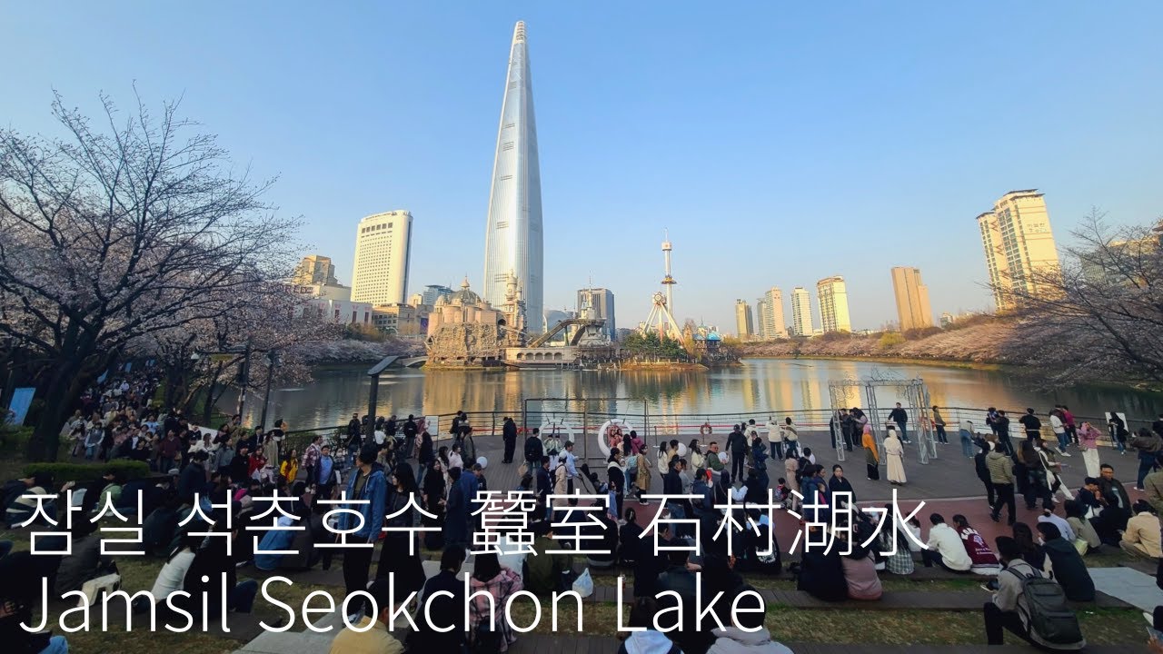 [VR] Sunday Walk at Seokchon Lake Cherry Blossoms 🌸 Lotte World & Tower ...