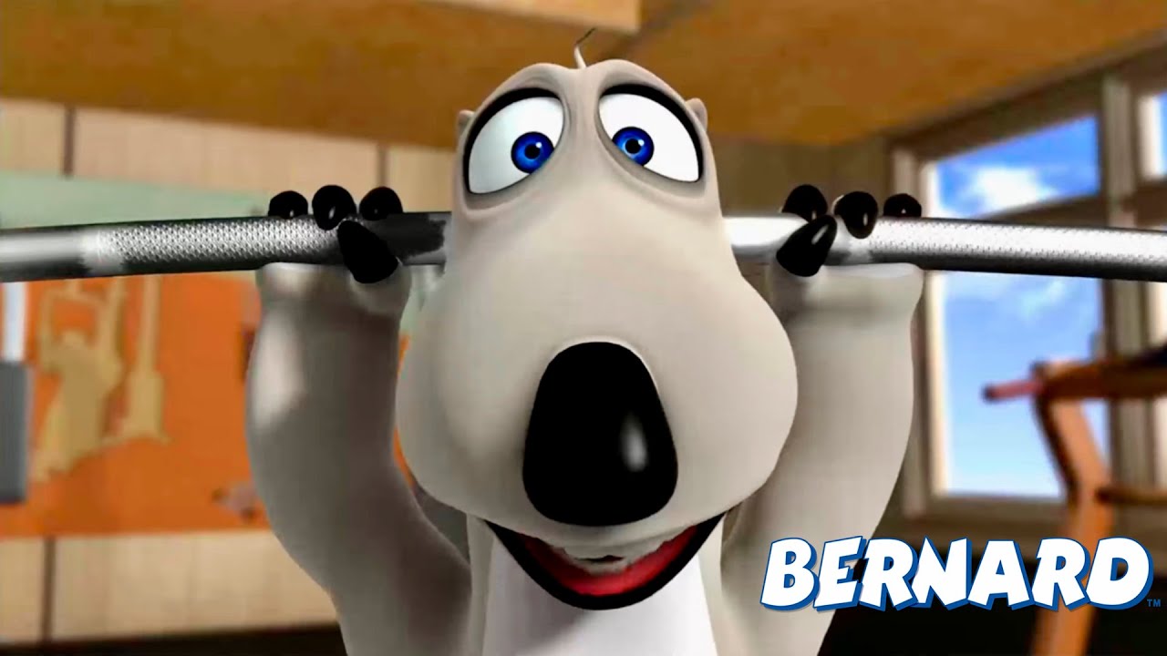 Bernard Bear ⭐ A academia 2 ⭐ NOVO Desenho animado ⭐ Toons Mania - Português - YouTube