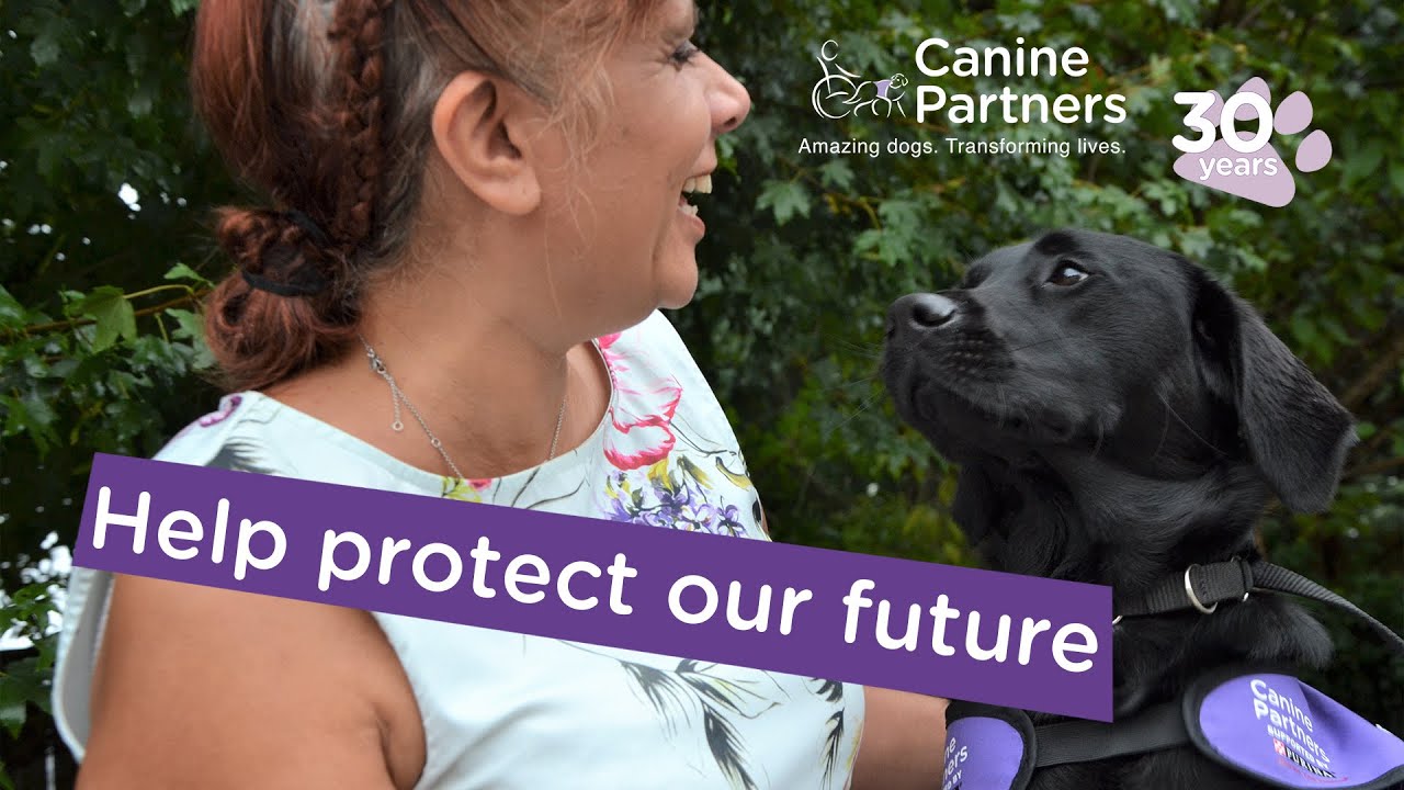 Help protect our future | Canine Partners - YouTube