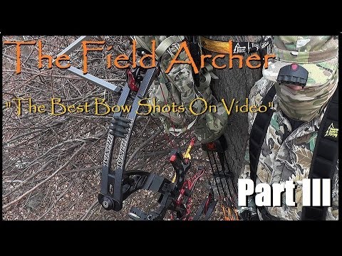 BOWHUNTING: Best Bow Shots On Video!!! Part III - YouTube