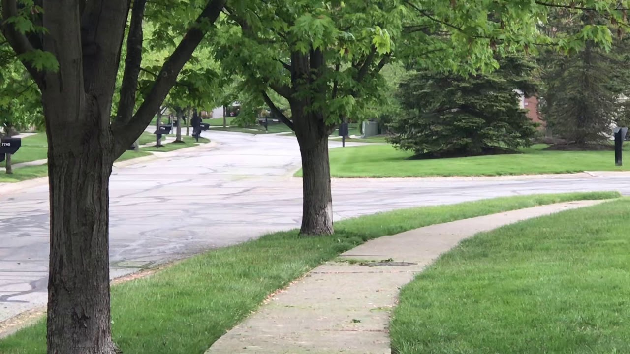 Komplete Landscaping Mowing Action (May 2020 Part 2) - YouTube