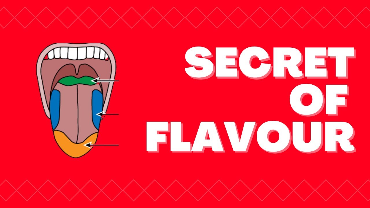 Unlocking the Secrets of Flavour: The Science of Taste Explained - YouTube