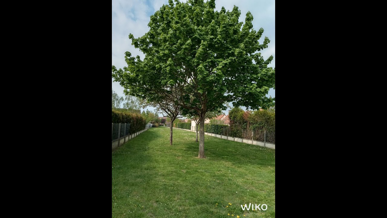 Learn French the practical and easy way by Longy AGOHA - YouTube