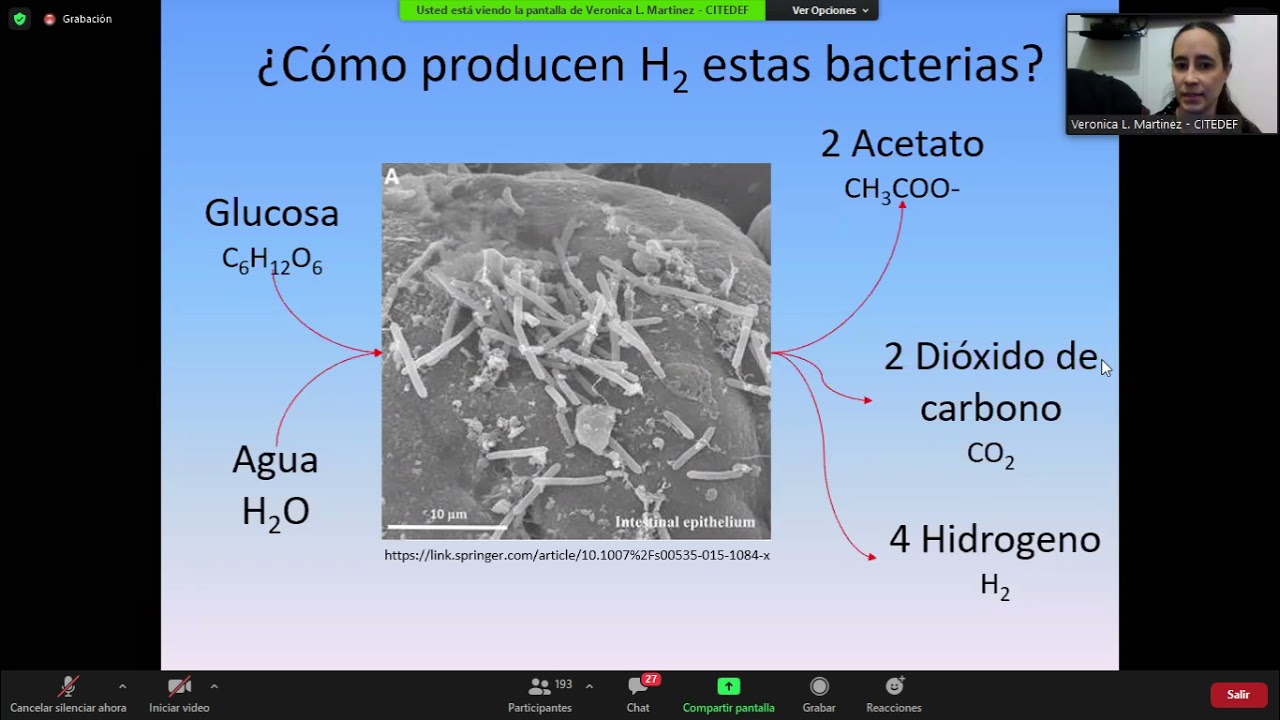 SEMINARIO 2 produccion de hidrogeno por medios biologicos - YouTube
