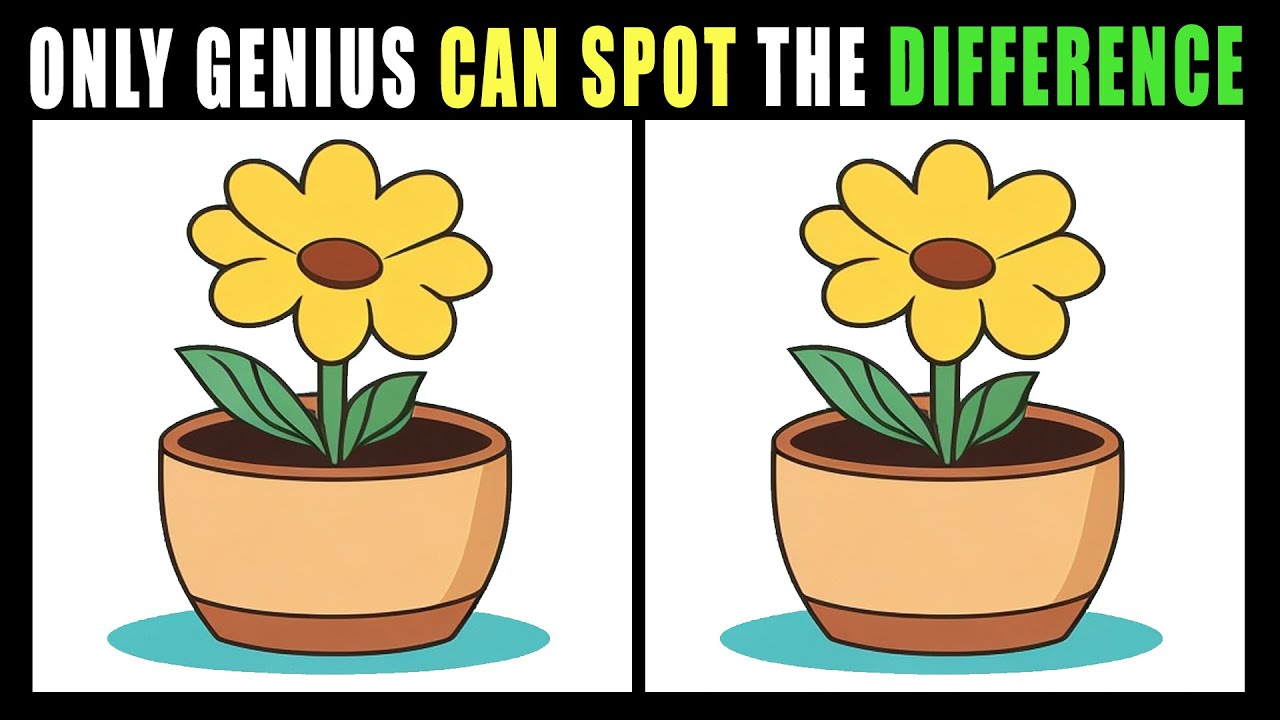 Spot The Difference : Only Genius Find Differences [ Find The Difference #134 ] - YouTube