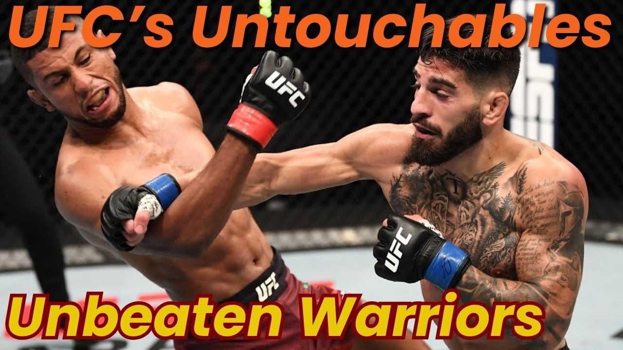Top 10 Undefeated UFC Fighters - YouTube