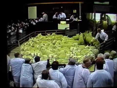 2001 Dingwall Mart is now 24hr Tesco - YouTube