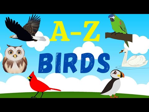 ABC Birds for children| Learn alphabet with Birds name in english| Kids ...