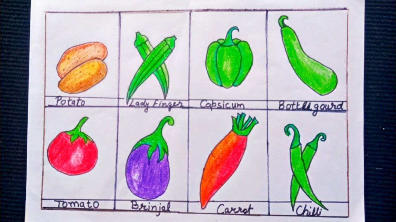 8 different types of vegetables drawing and colouring easy|vegetables ...