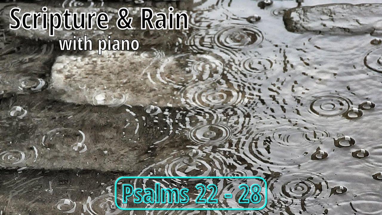 Relax with the Perfect Balance of Scripture Rain and Piano | Psalms 22 ...