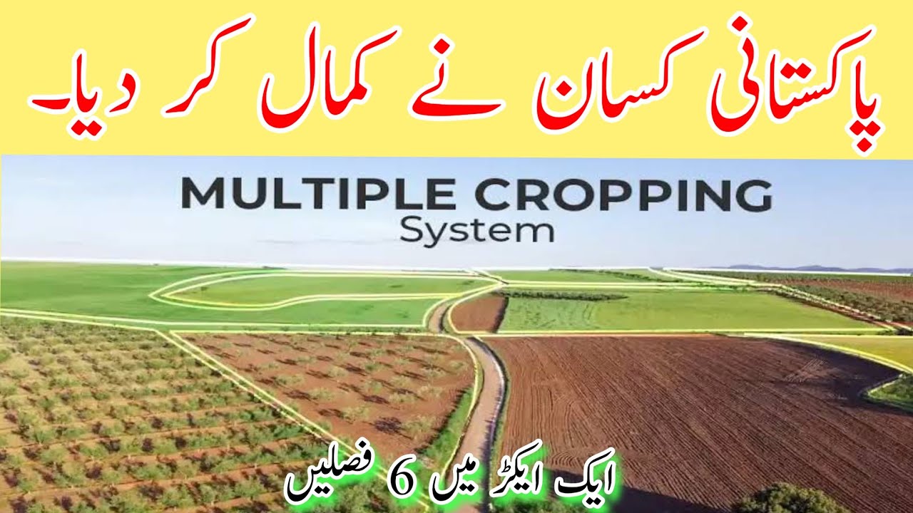 Farming ideas for small land holders | Multiple / integrated cropping ...