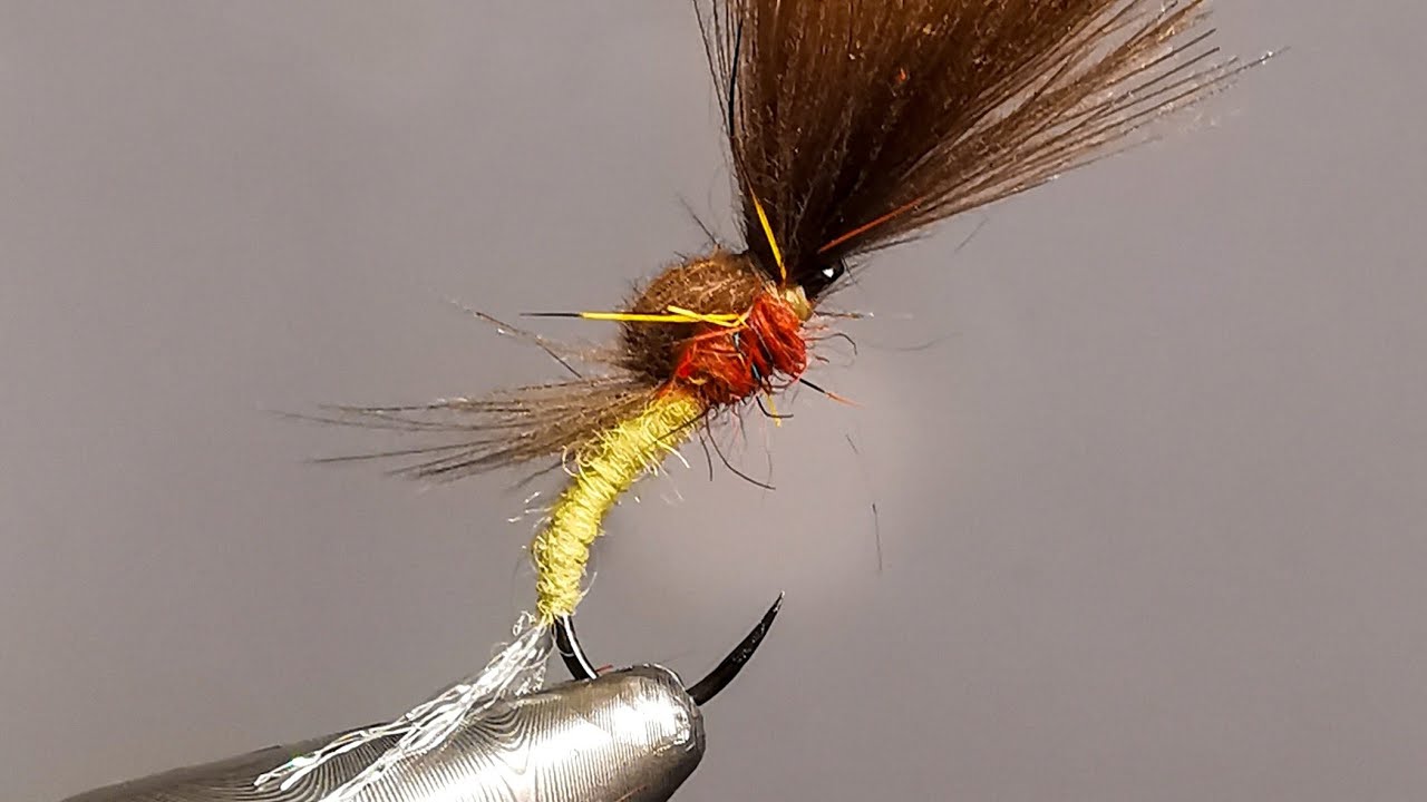 CDC Olive emerger - YouTube