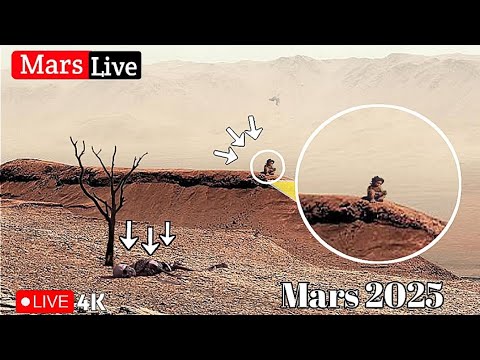 NASA's Newly Released Images Of MARS! NASA’s New Mars Video Shook the ...